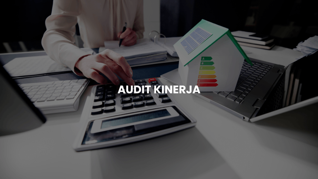 Menyelami Kinerja Organisasi dengan Audit Kinerja